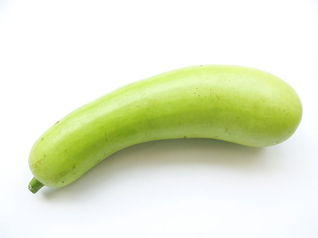 Jenis-Jenis Labu & Khasiatnya Terhadap Kesihatan. - RASA