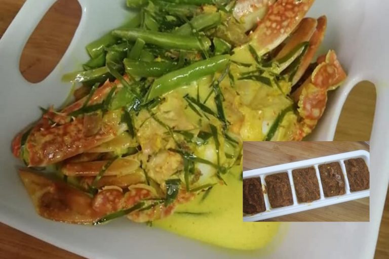 Inilah Cara Tanam Daun Sup Dan Ketumbar Dari Akar Betul-Betul Tumbuh Elok.