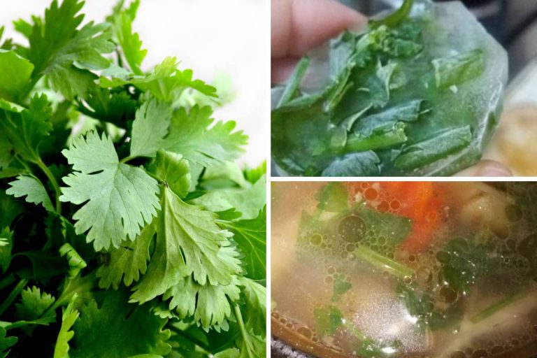 Ini 4 Cara Masak Sup Sayur Paling Mudah & Sedap.