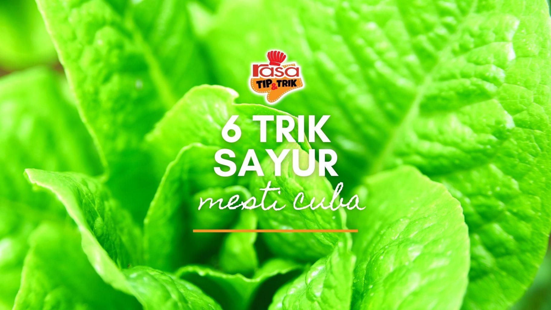 Cara Potong Tembikai Mudah & Kemas